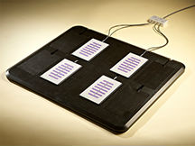 E-LINK フォースプレート | 株式会社Q'sfix